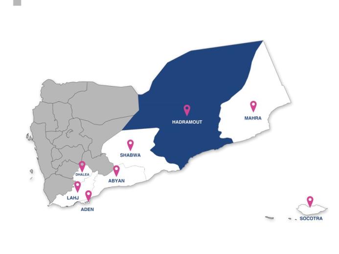 Hadramout in the Forefront: A New Council and Vague Political Project